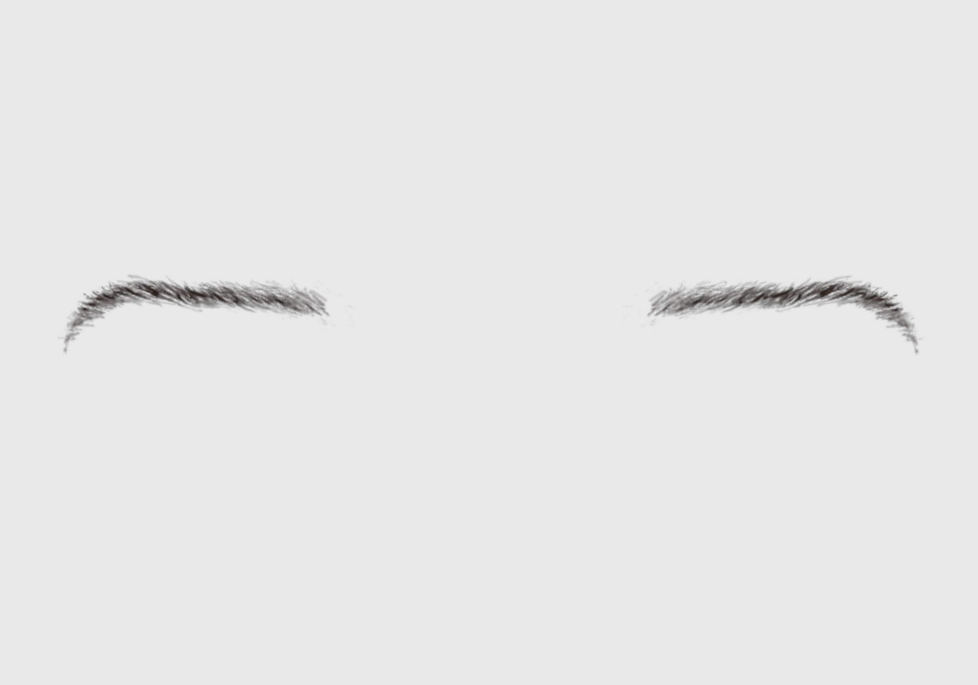 Brown Basic Eyebrow v80 - 3D Model by nickianimations