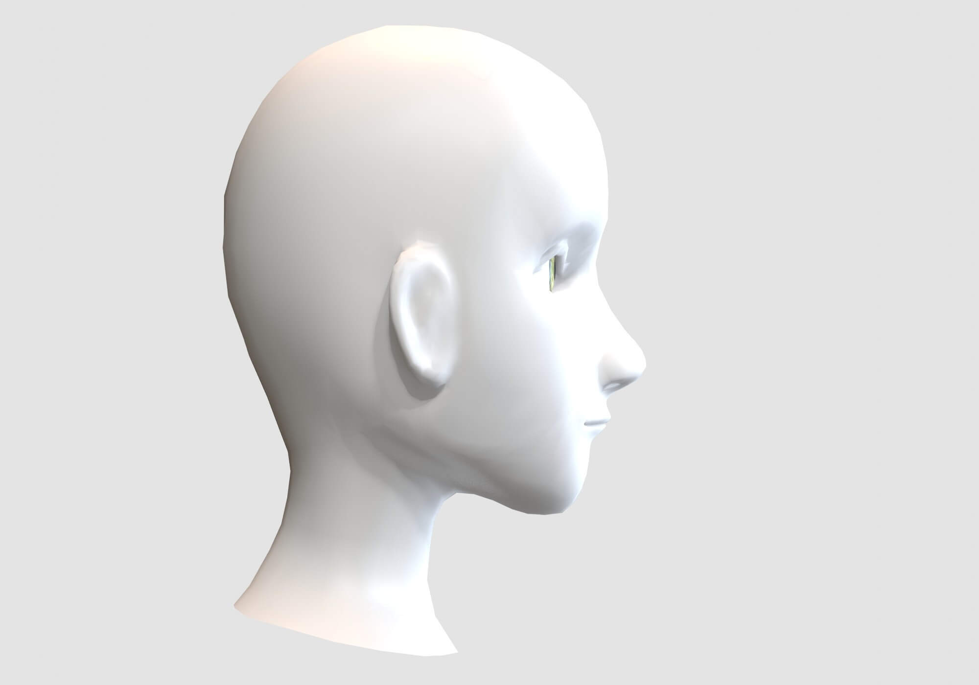 Cartoon Female Head - 3D Model by nickianimations