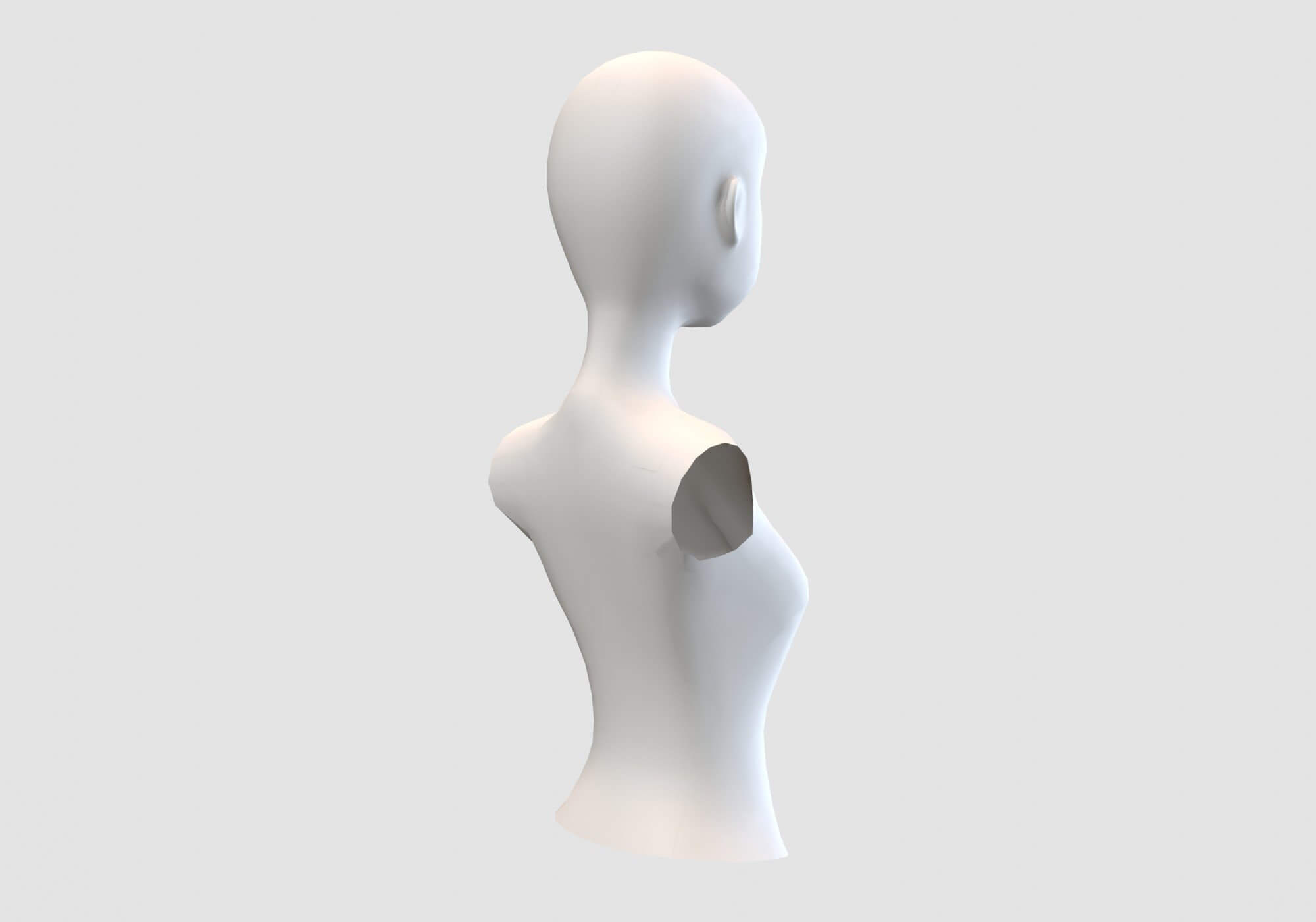 Cartoon Female Torso - 3D Model by nickianimations