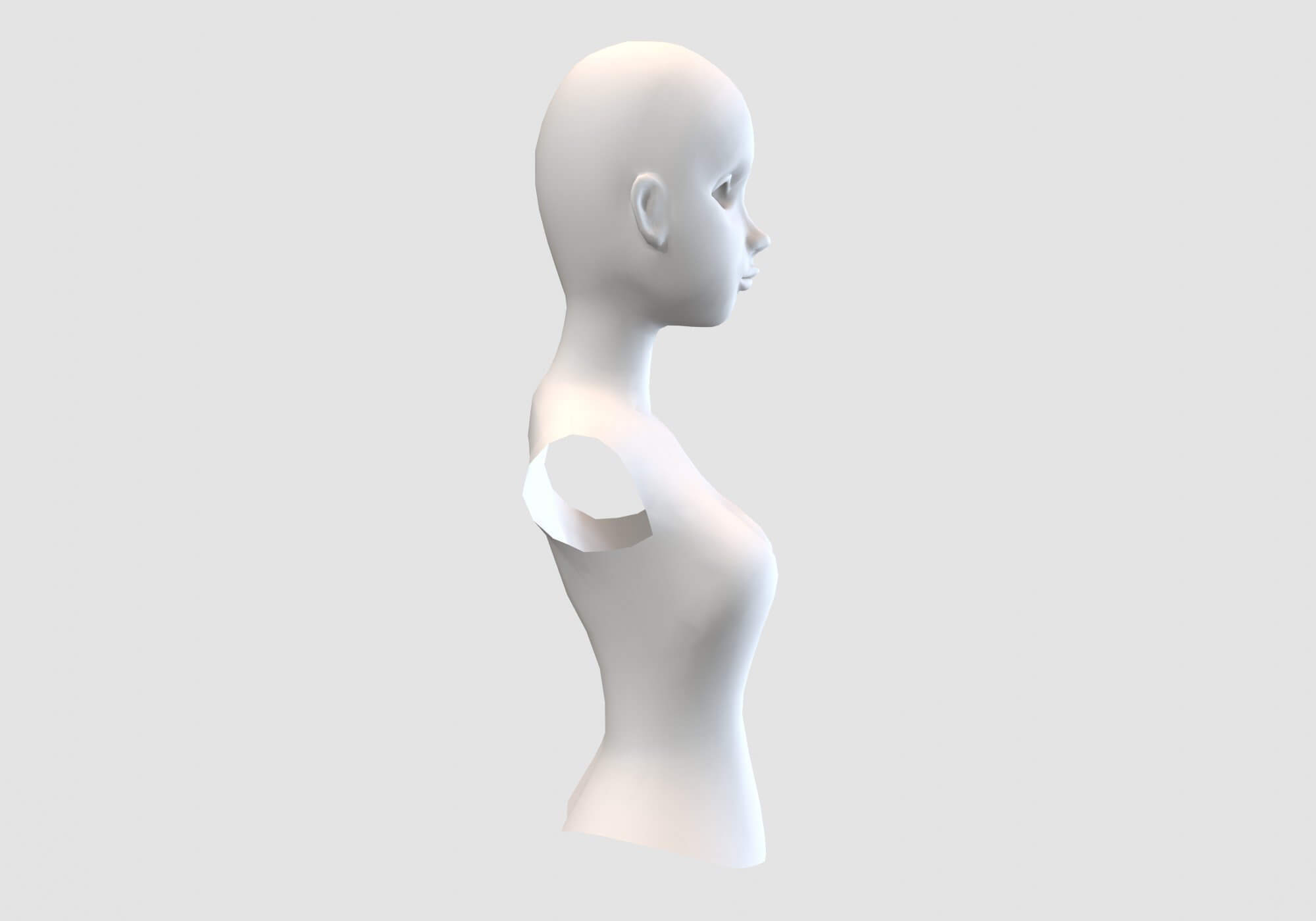 Cute Female Torso - 3D Model by nickianimations