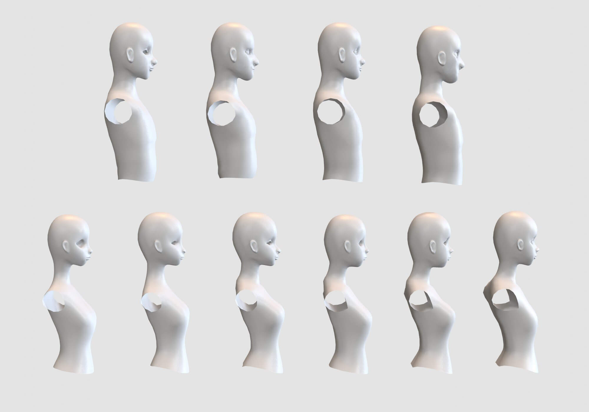 Female and Male Upper Body Collection - 3D Model by nickianimations