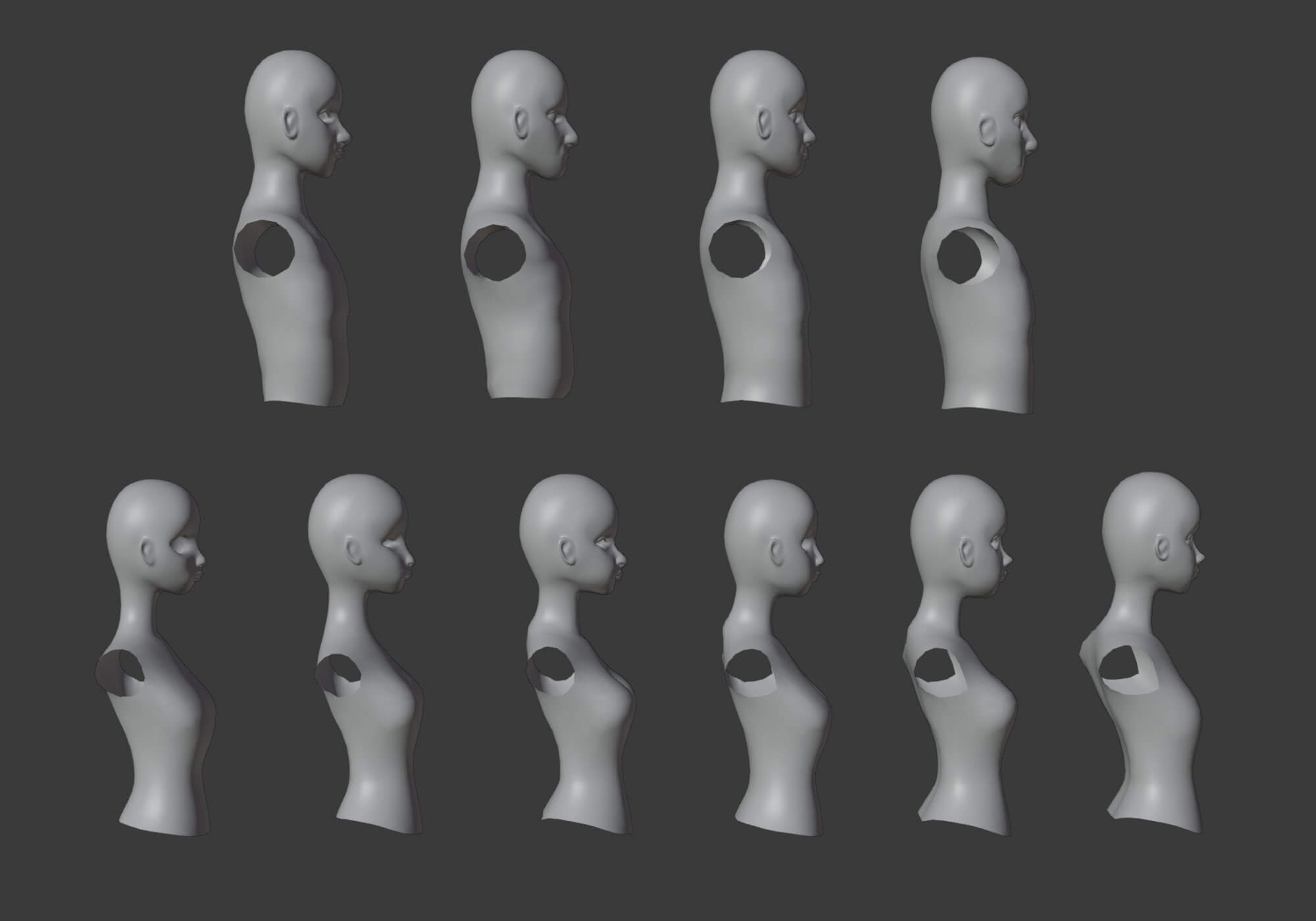 Female and Male Upper Body Collection - 3D Model by nickianimations