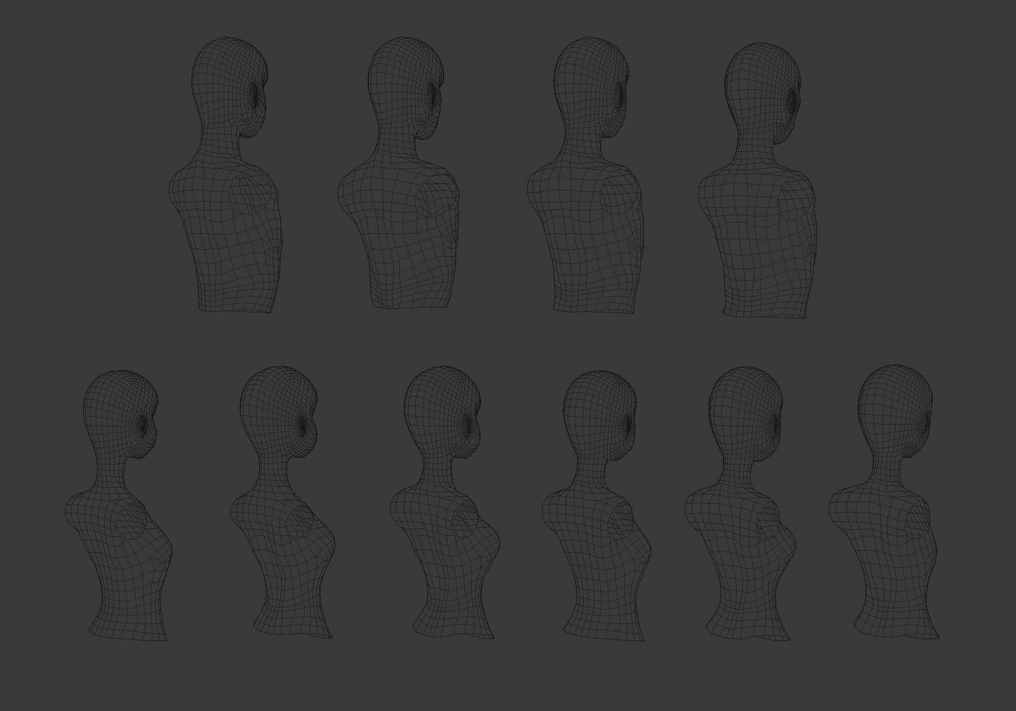 Female and Male Upper Body Collection - 3D Model by nickianimations