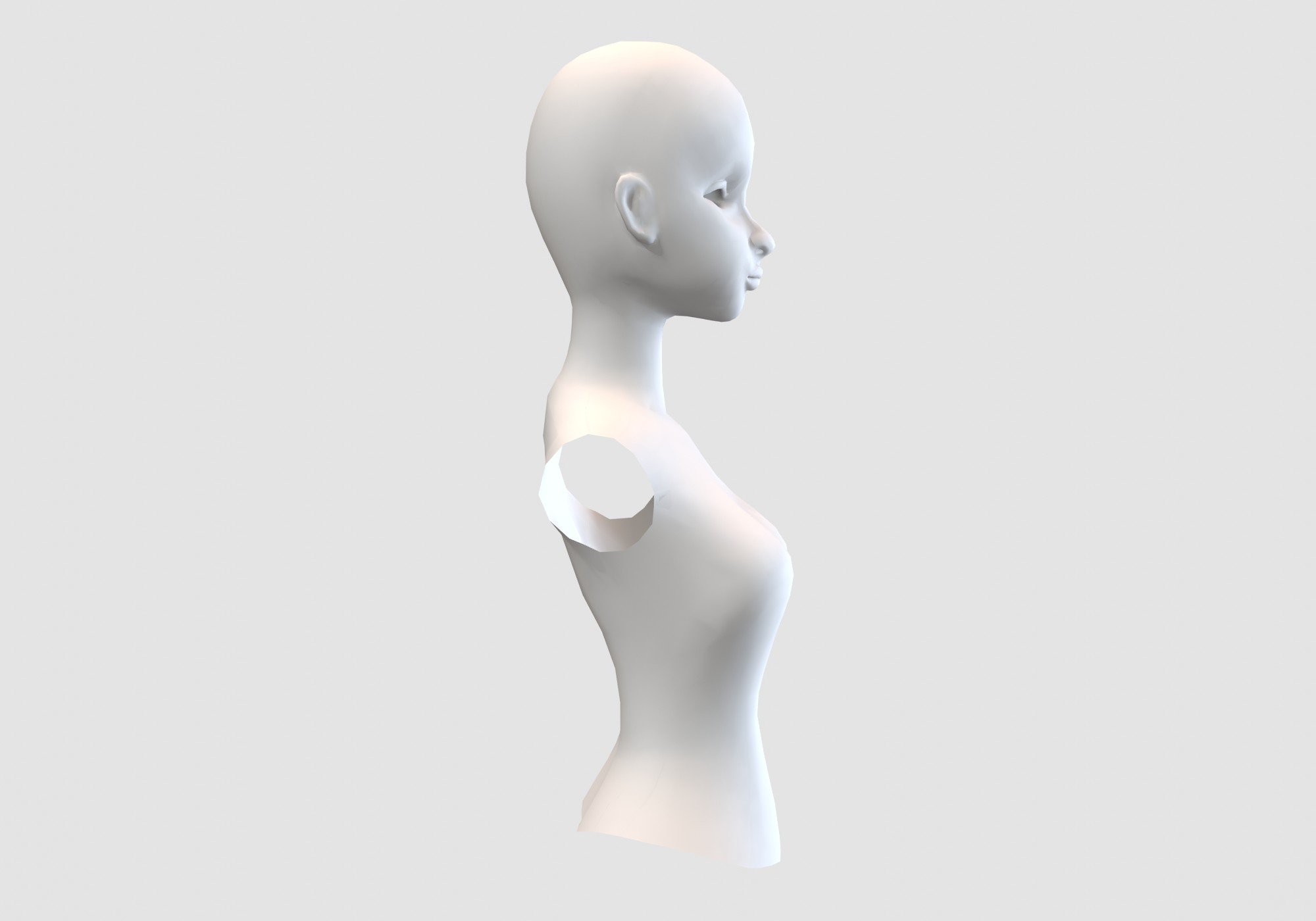 Female Body Torso - 3D Model by nickianimations