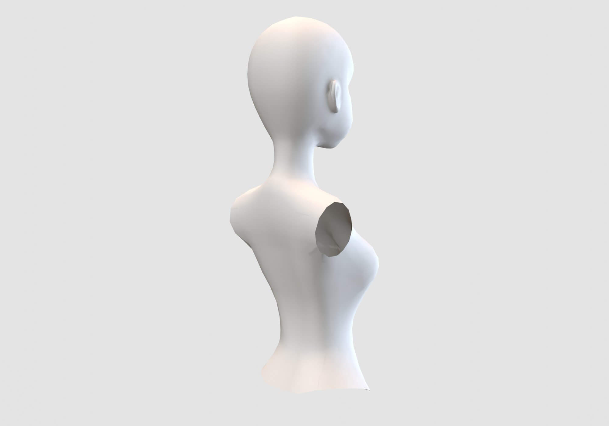 Female Body Torso - 3D Model by nickianimations