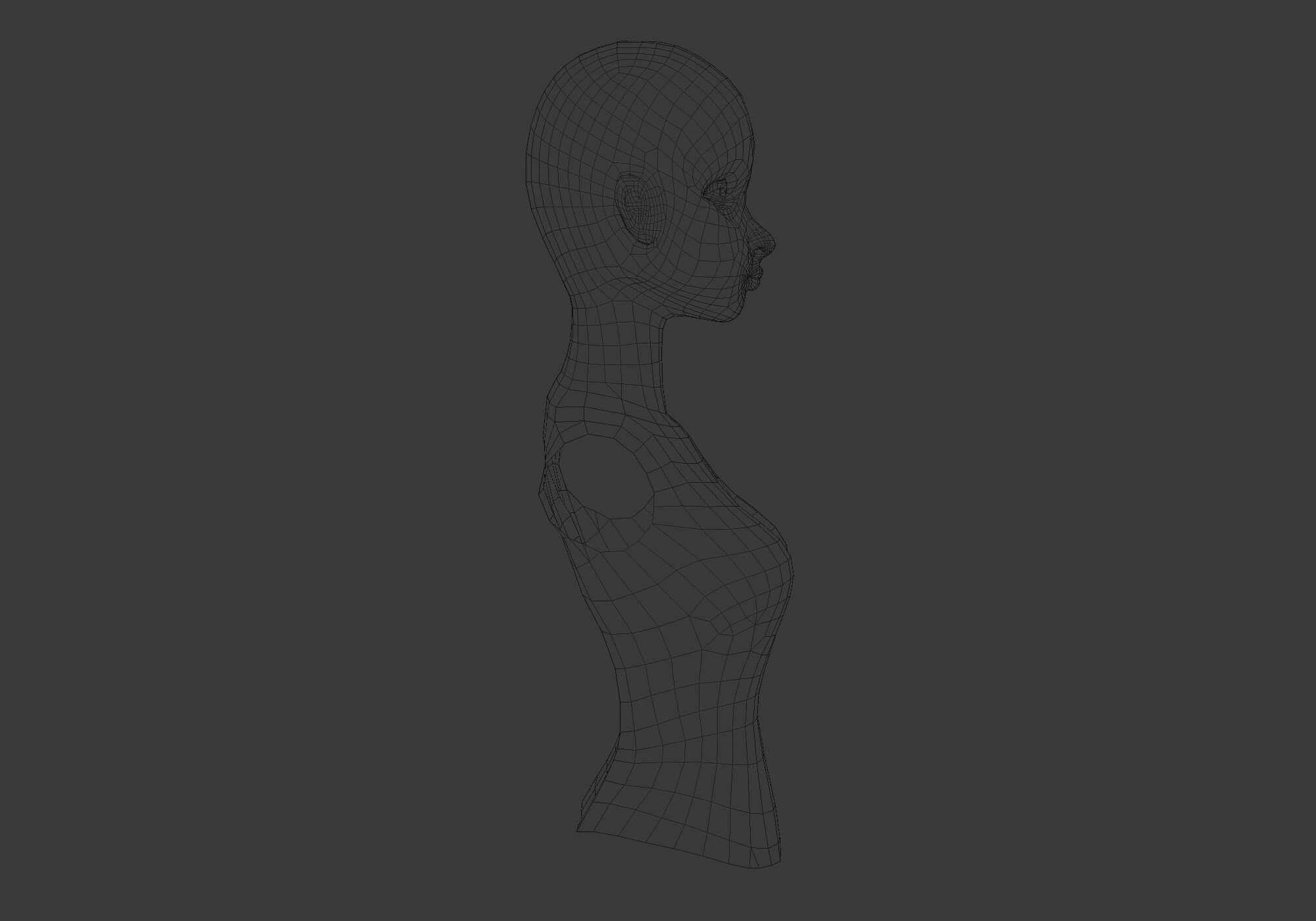Female Body Torso - 3D Model by nickianimations