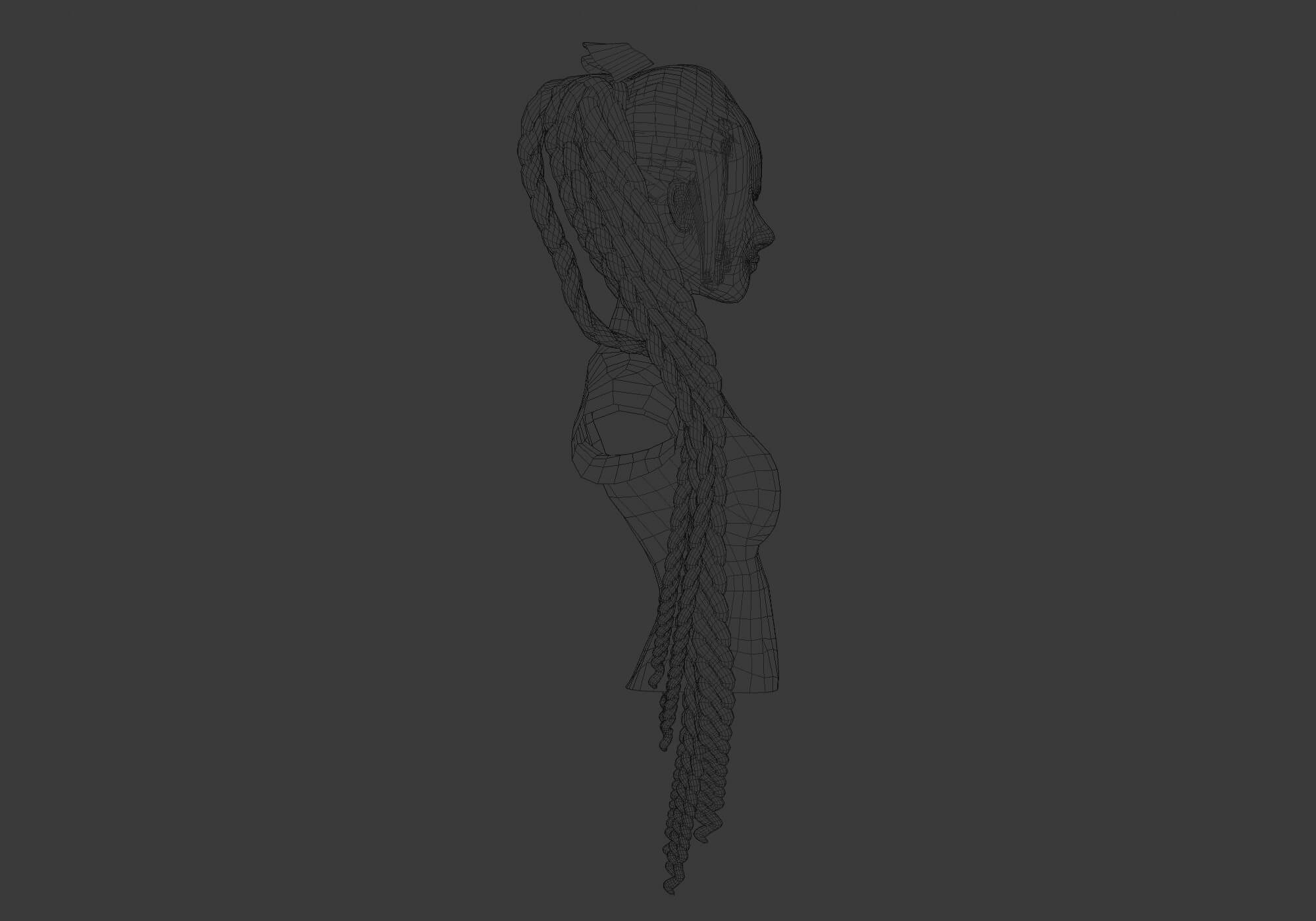 Female Braids Hairstyle - 3D Model by nickianimations