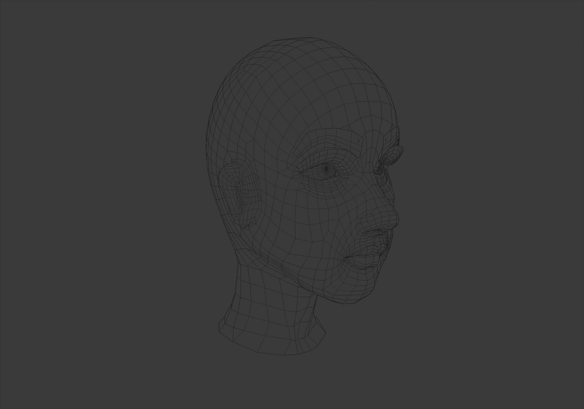 Female Head v4228 - 3D Model by nickianimations