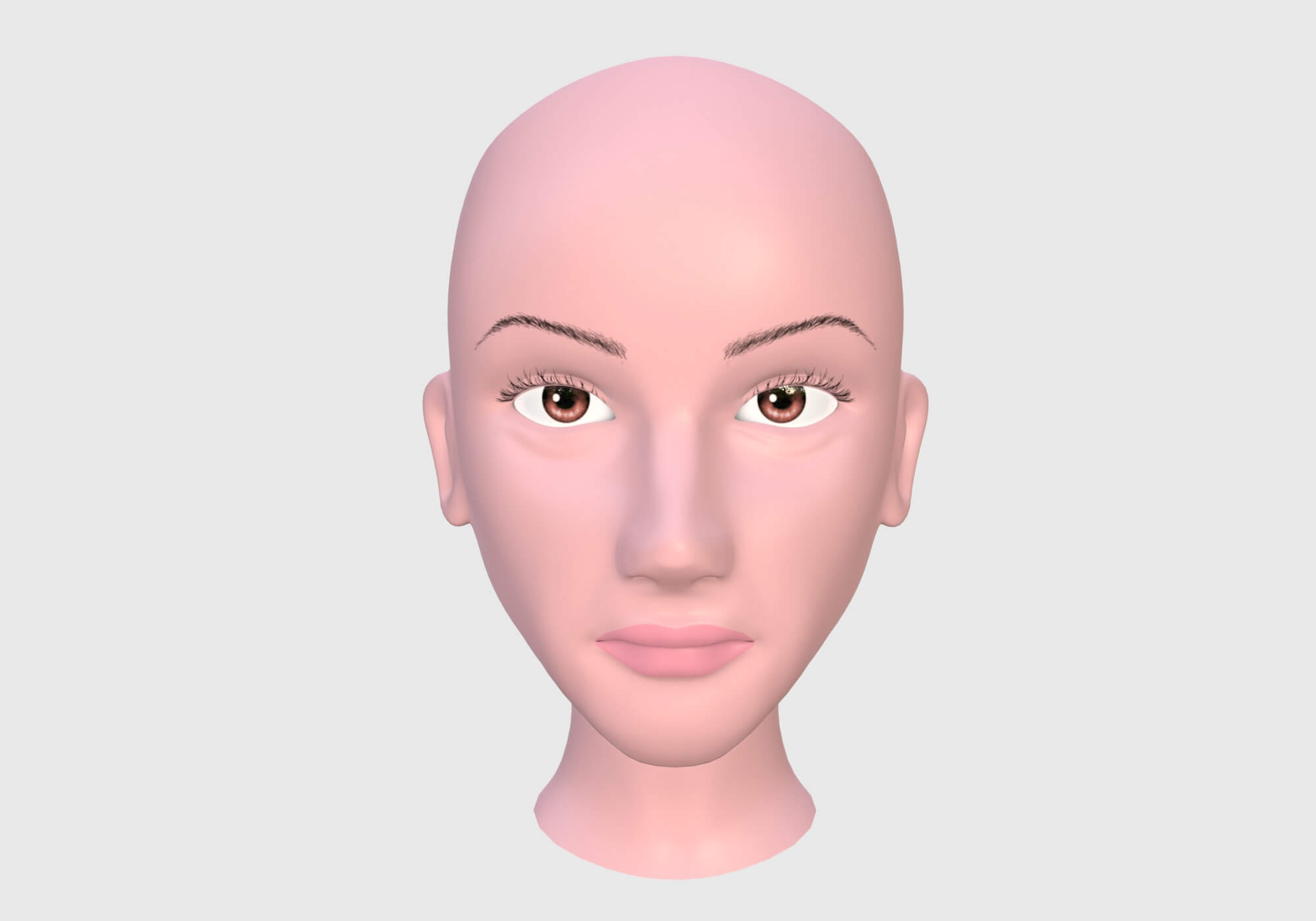 Female Head - 3D Model by nickianimations
