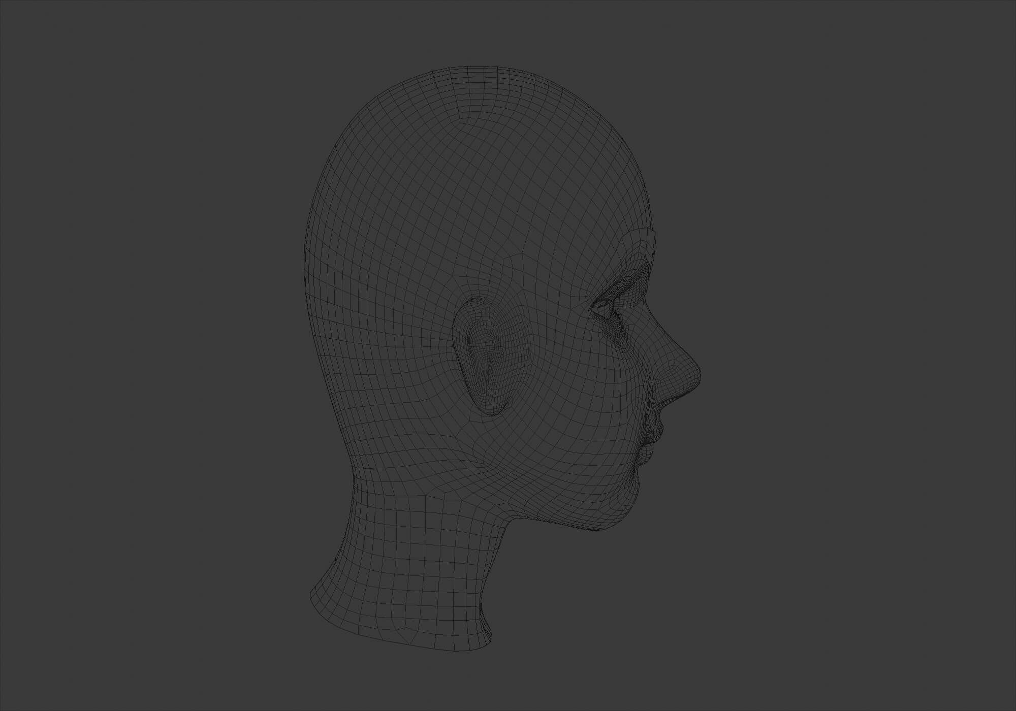 Female Head - 3D Model by nickianimations