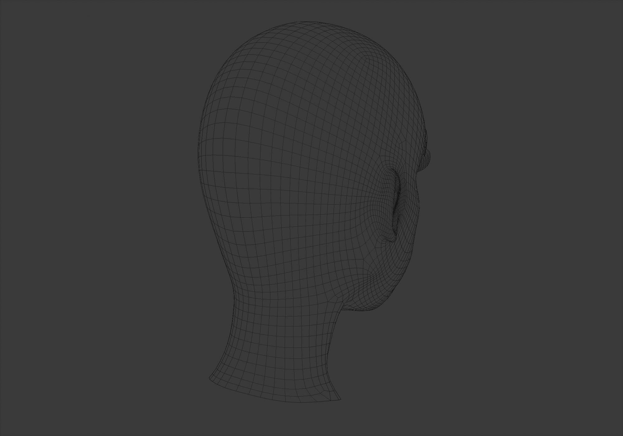 Female Head - 3D Model by nickianimations