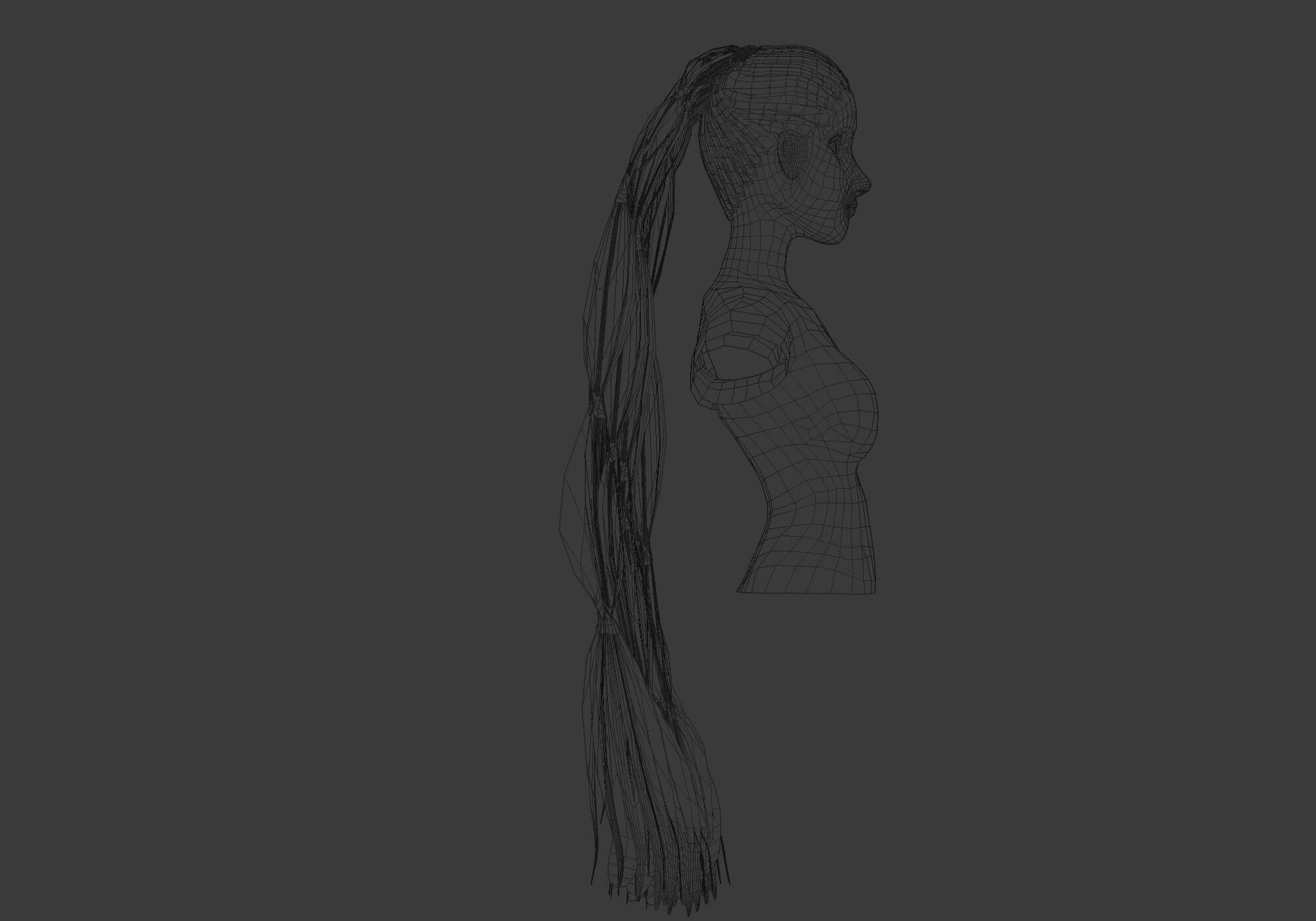 Long Female Hairstyle - 3D Model by nickianimations