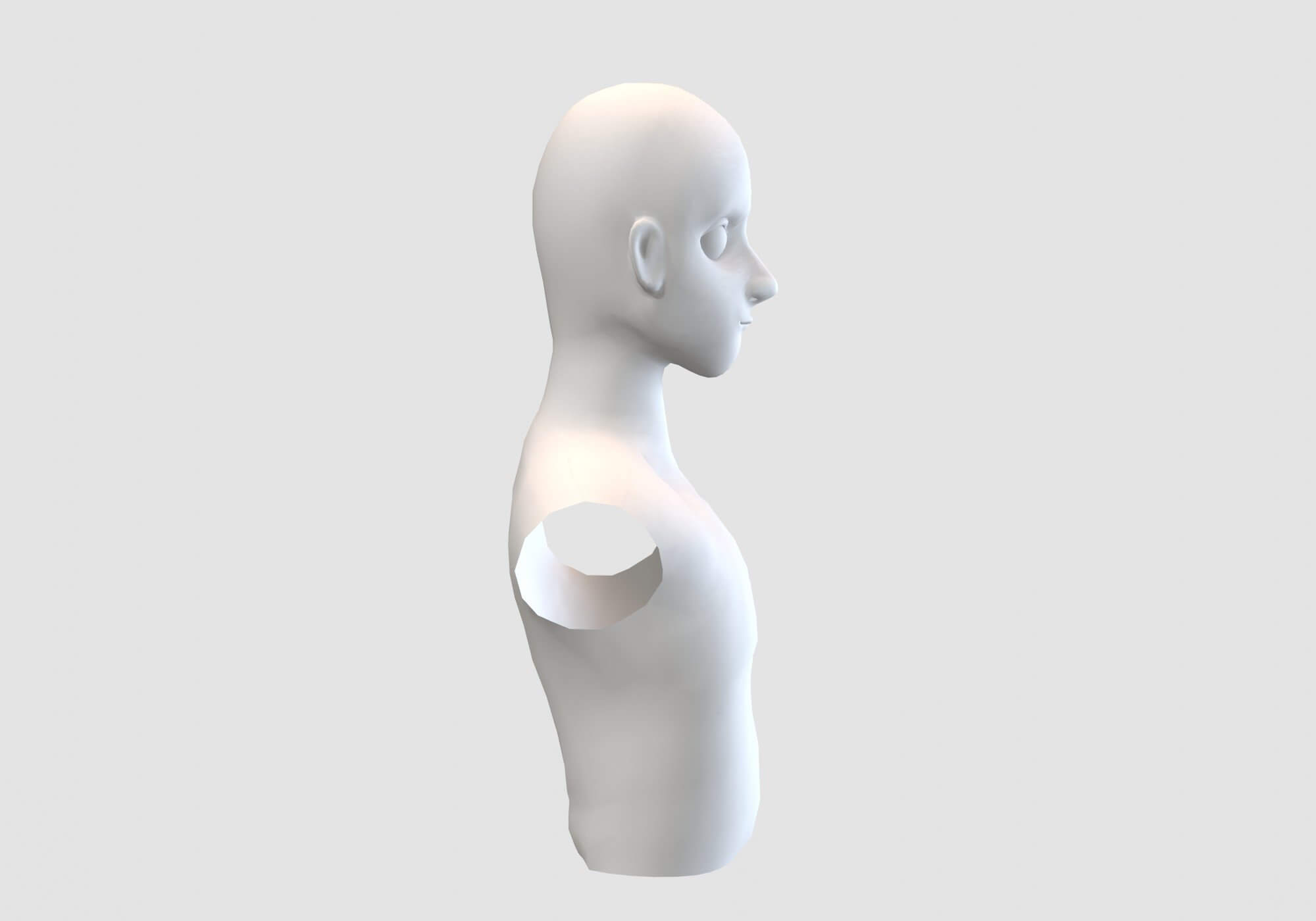 Male Upper Body - 3D Model by nickianimations