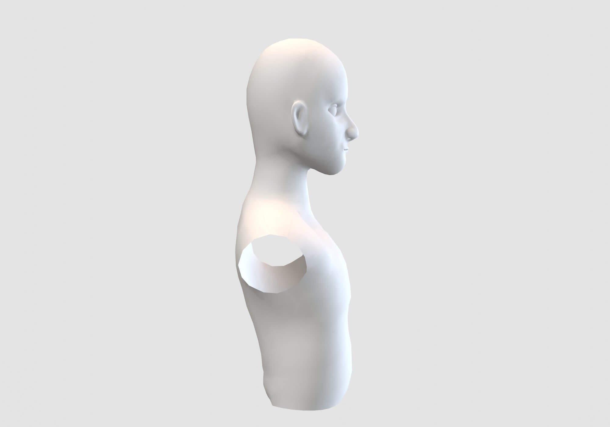 Manly Cartoon Torso - 3D Model by nickianimations