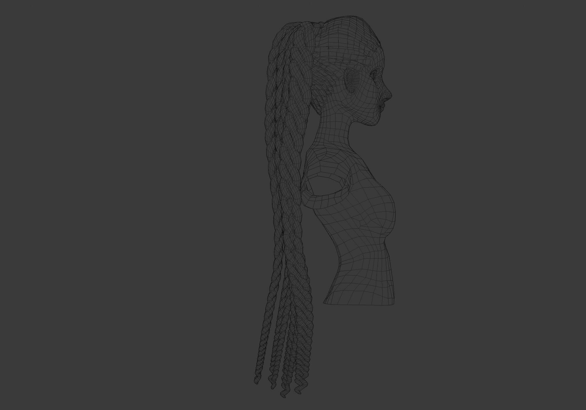 Ponytail Braids Hairstyle - 3D Model by nickianimations
