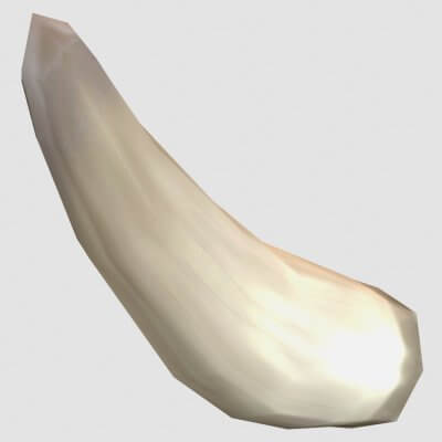 Sharp Bone Horn - 3D Model by nickianimations