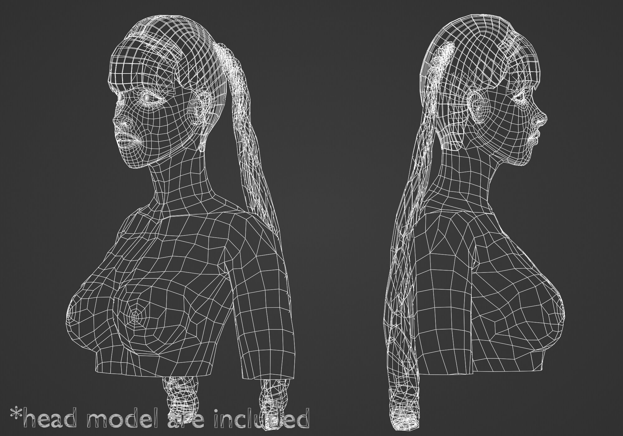 Two Braids Hairstyle V9473 3d Model By Nickianimations 