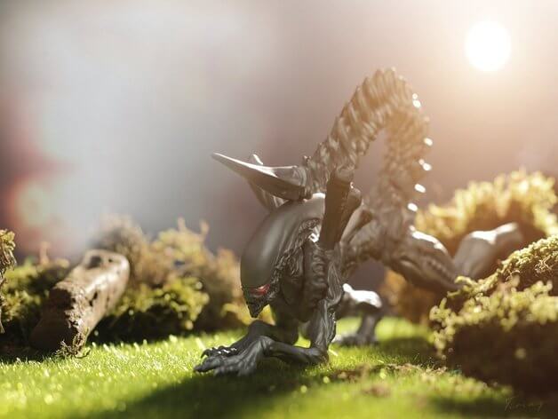 Alien from Alien Vs Predator - 3D Model by nivinpoly420