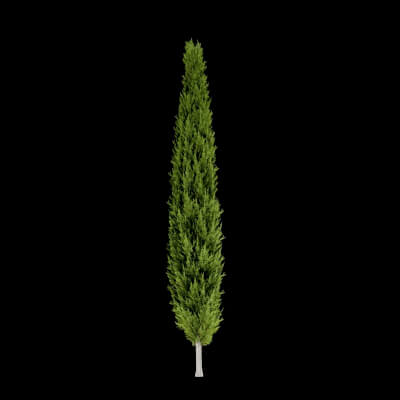 Tree Plant Decoration - 3D Model by Nivora