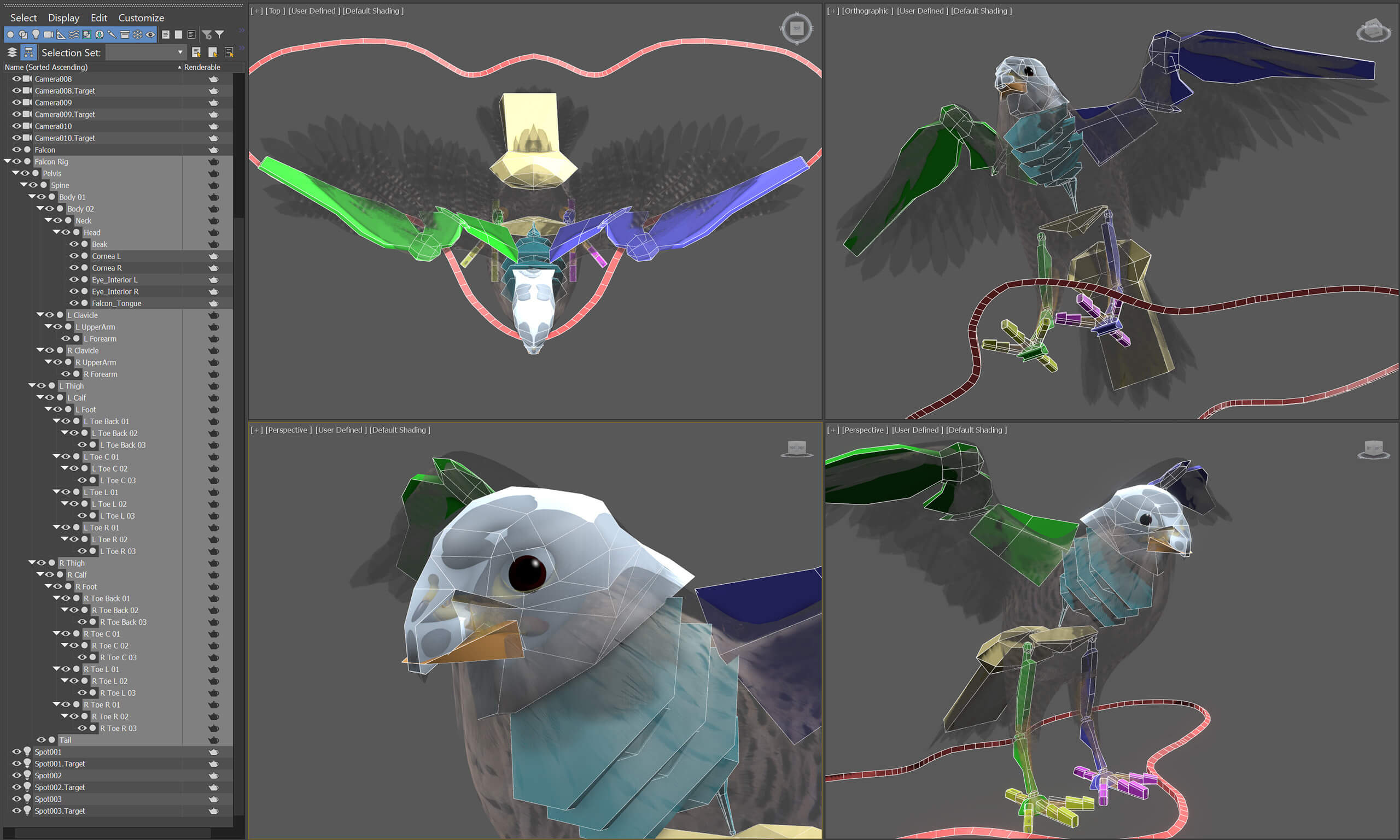 Animated Falcon - 3D Model by NoneCG