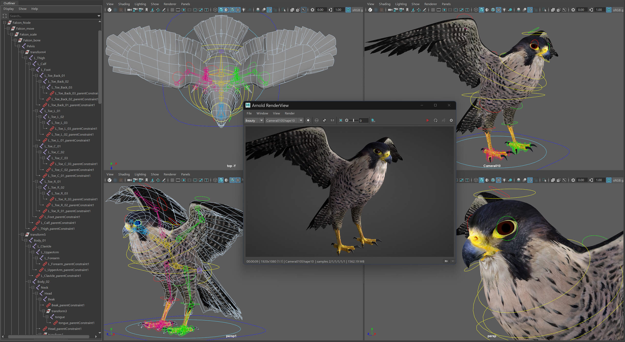Animated Falcon - 3D Model by NoneCG