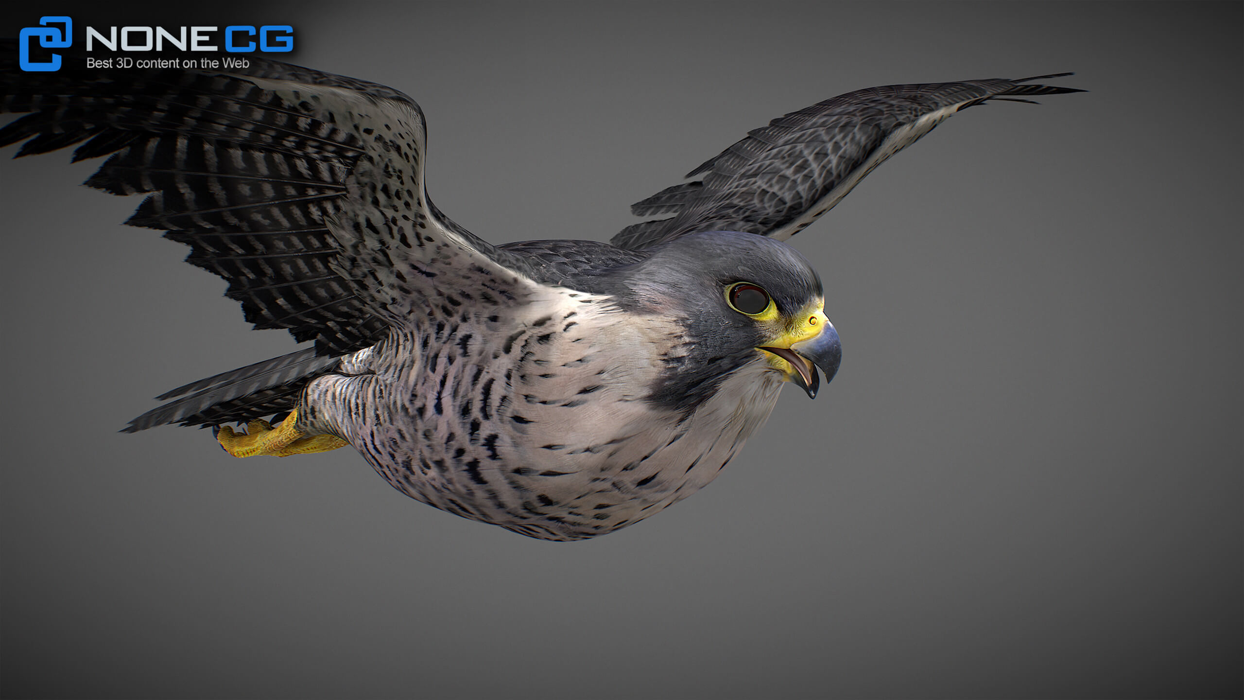 Animated Falcon - 3D Model by NoneCG