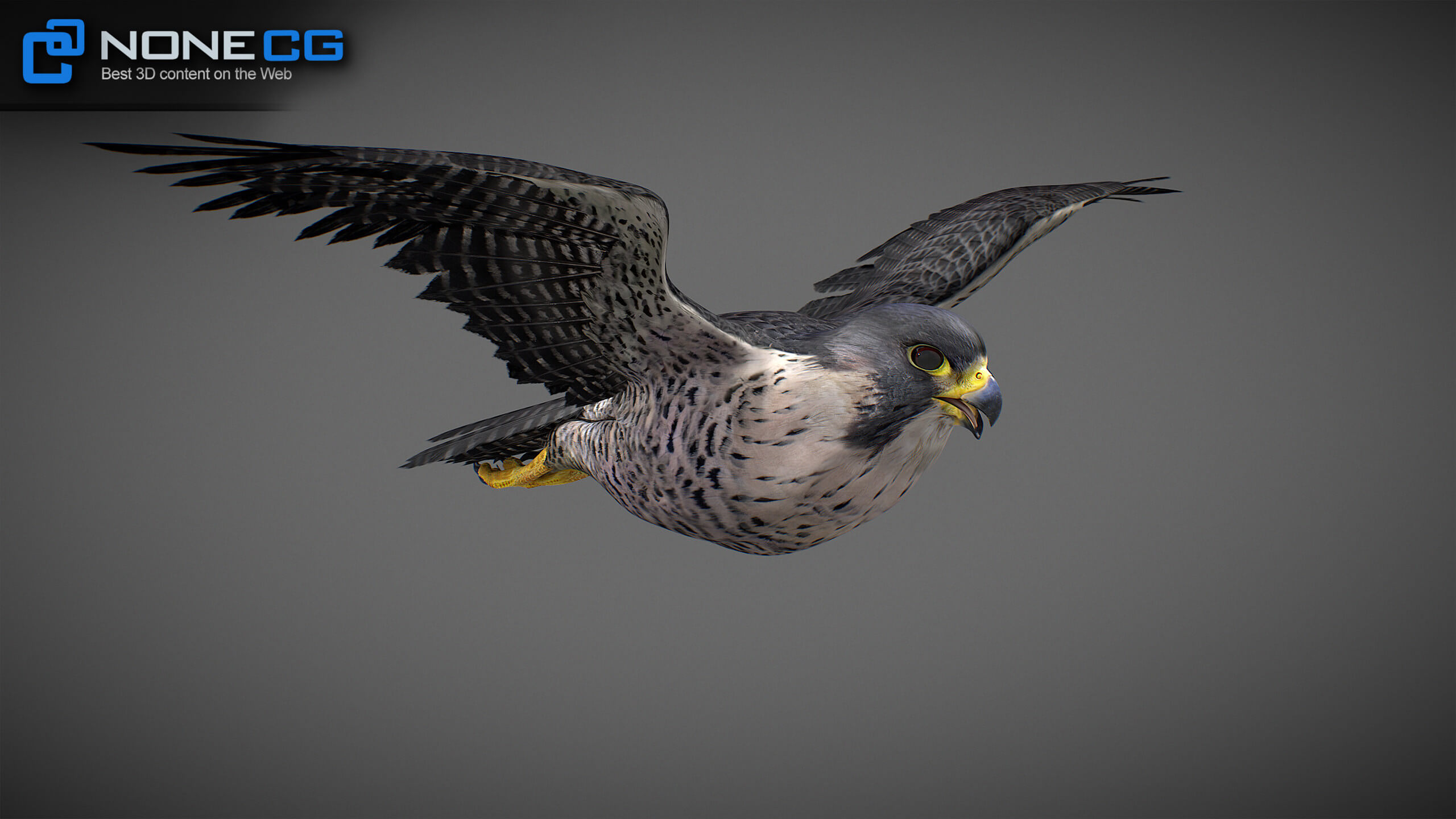 Animated Falcon - 3D Model by NoneCG