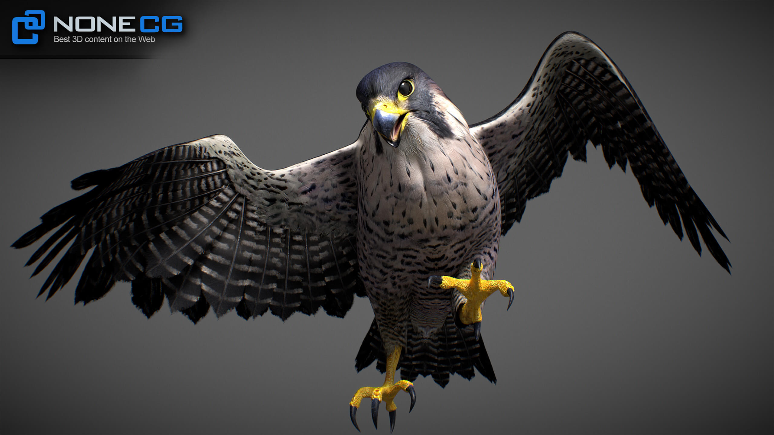 Animated Falcon - 3D Model by NoneCG