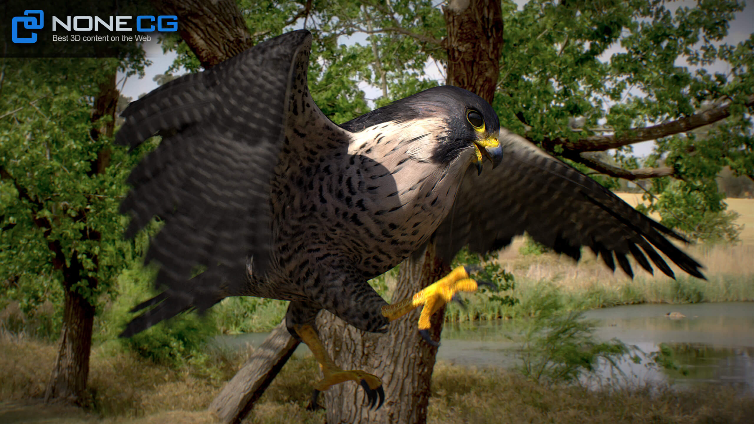 Animated Falcon - 3D Model by NoneCG