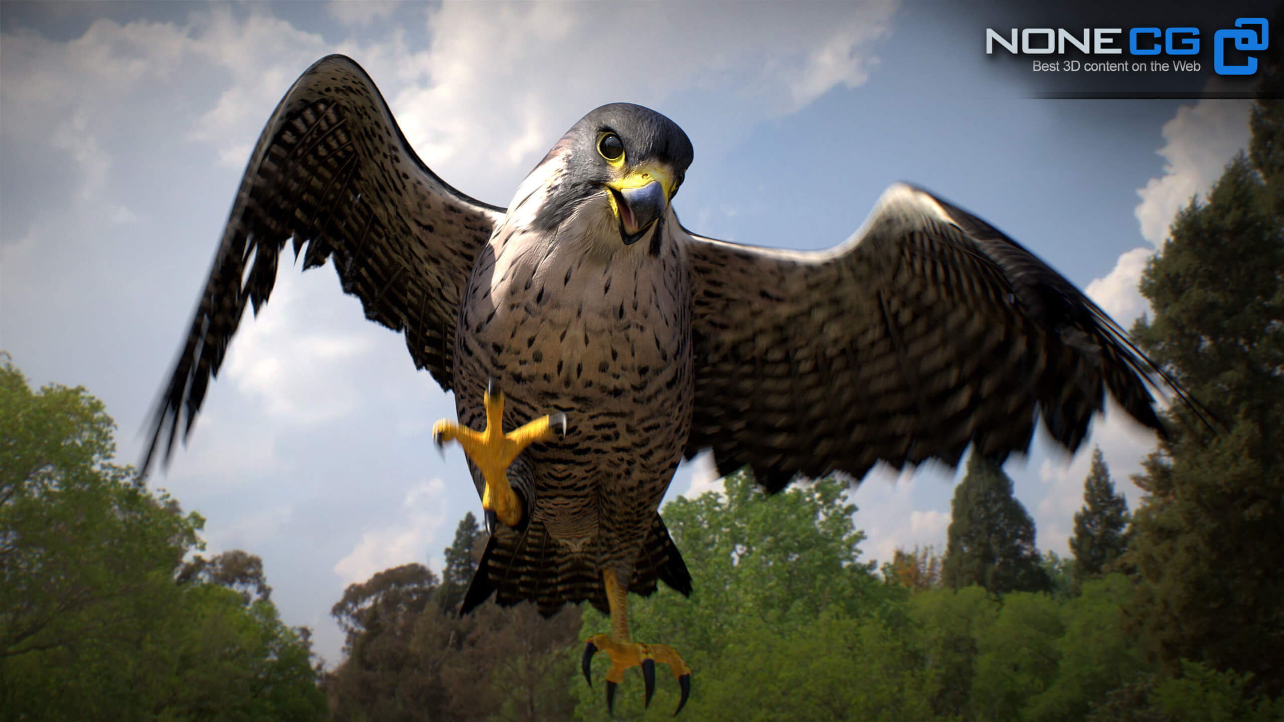 Animated Falcon - 3D Model by NoneCG