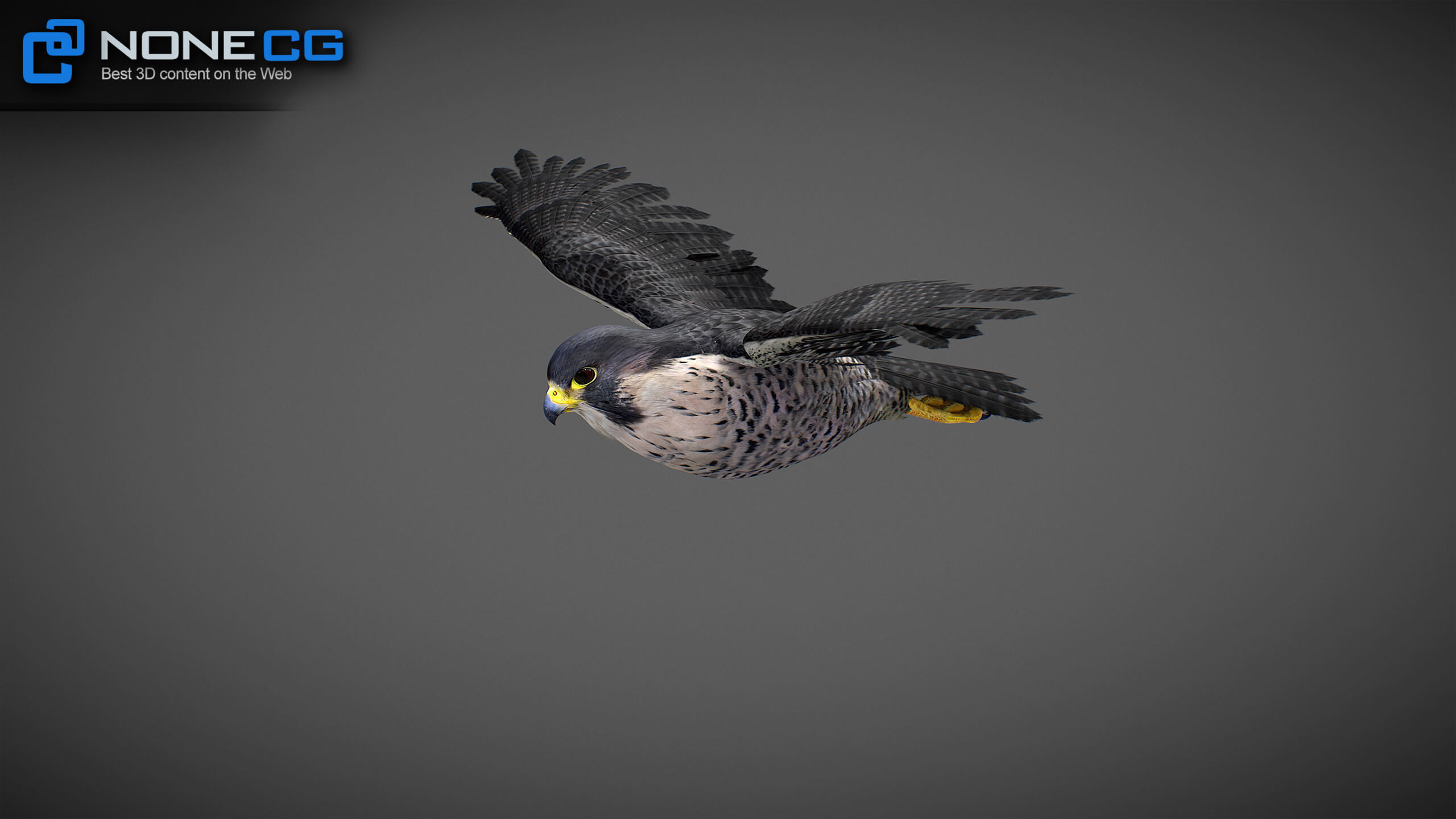Animated Falcon - 3D Model by NoneCG