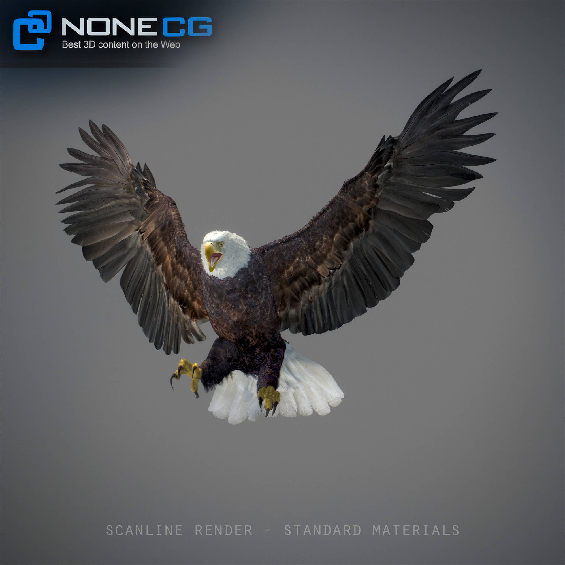 Bald Eagle V2 - 3D Model by NoneCG