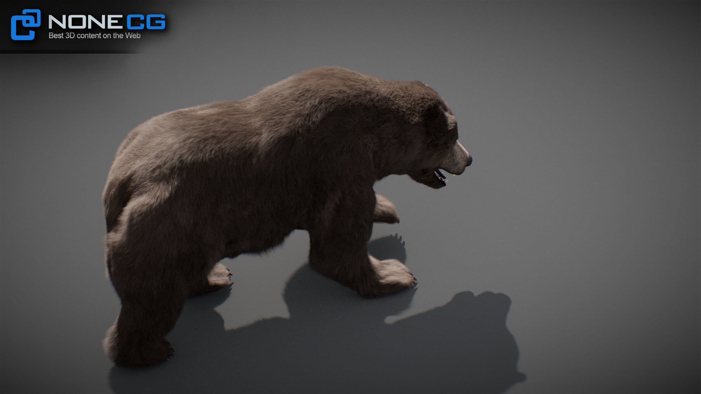 Animated Bears Pack - 3D Model by NoneCG