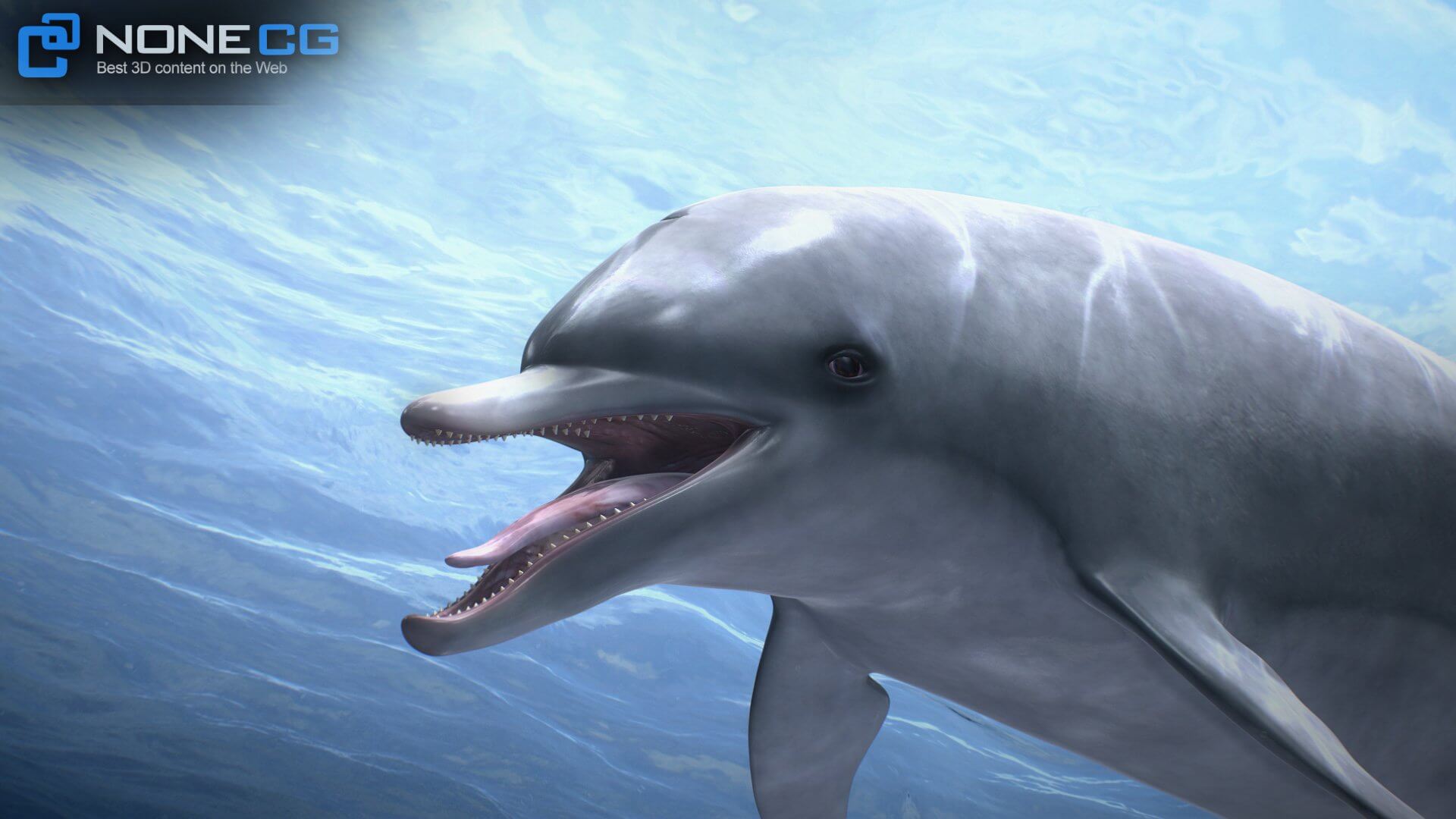 Animated Bottlenose Dolphin - 3D Model by NoneCG