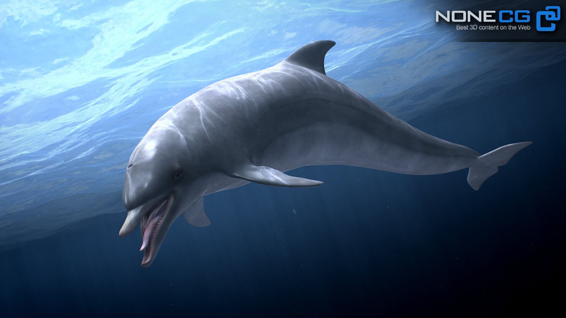 Animated Bottlenose Dolphin - 3D Model by NoneCG