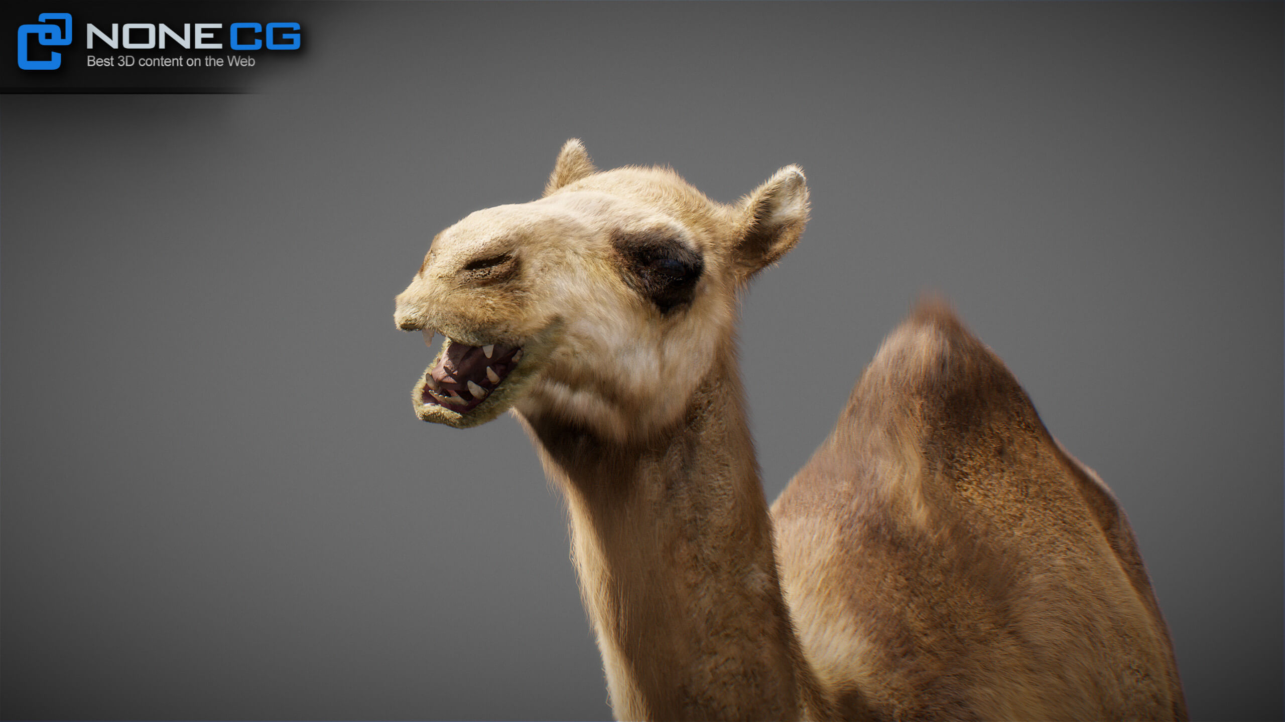 Animated Camel - 3D Model by NoneCG