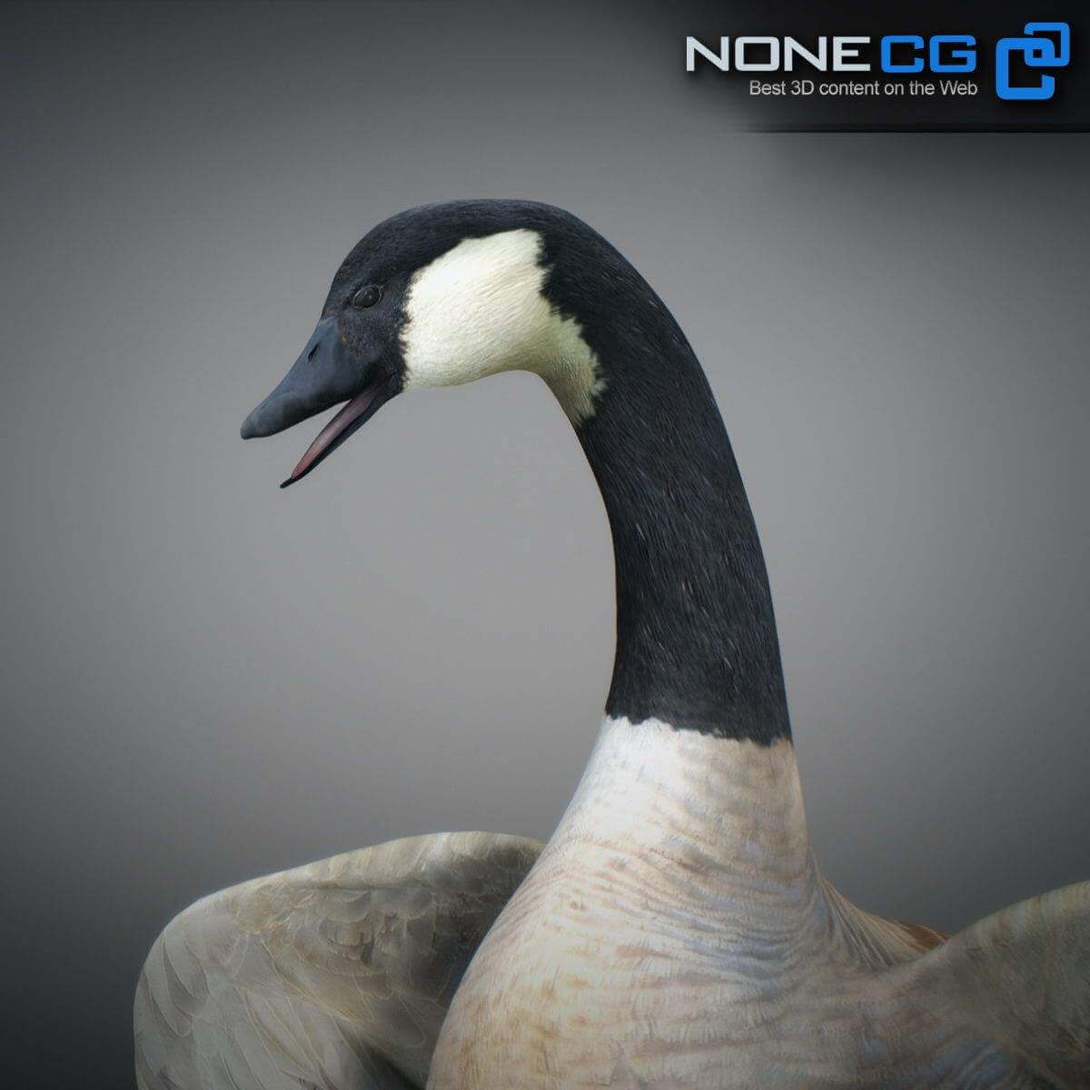 Canada Goose - 3D Model by NoneCG