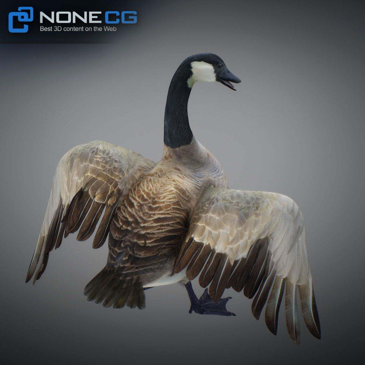 Canada Goose - 3D Model by NoneCG