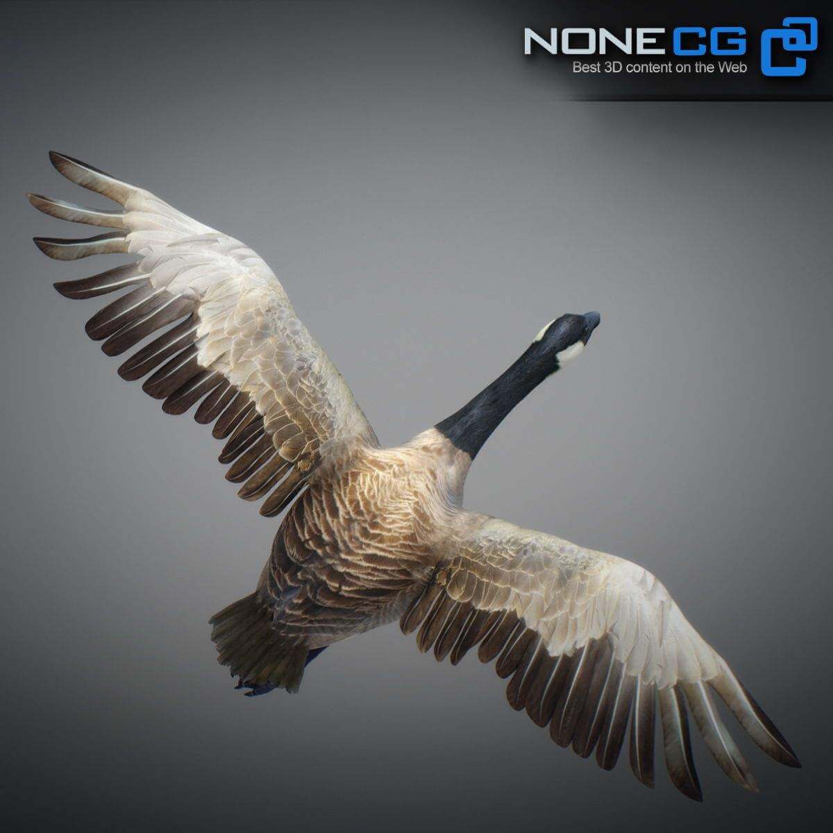 Canada Goose - 3D Model by NoneCG