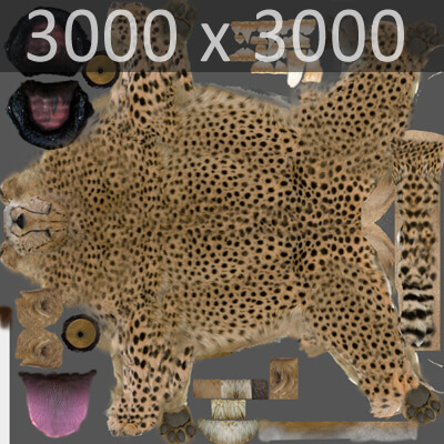 Animated Cheetah - 3D Model by NoneCG