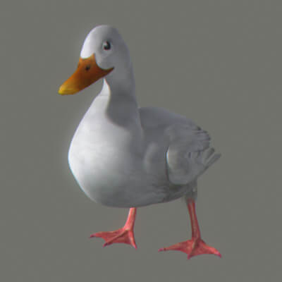 Animated Ducks - 3D Model by NoneCG