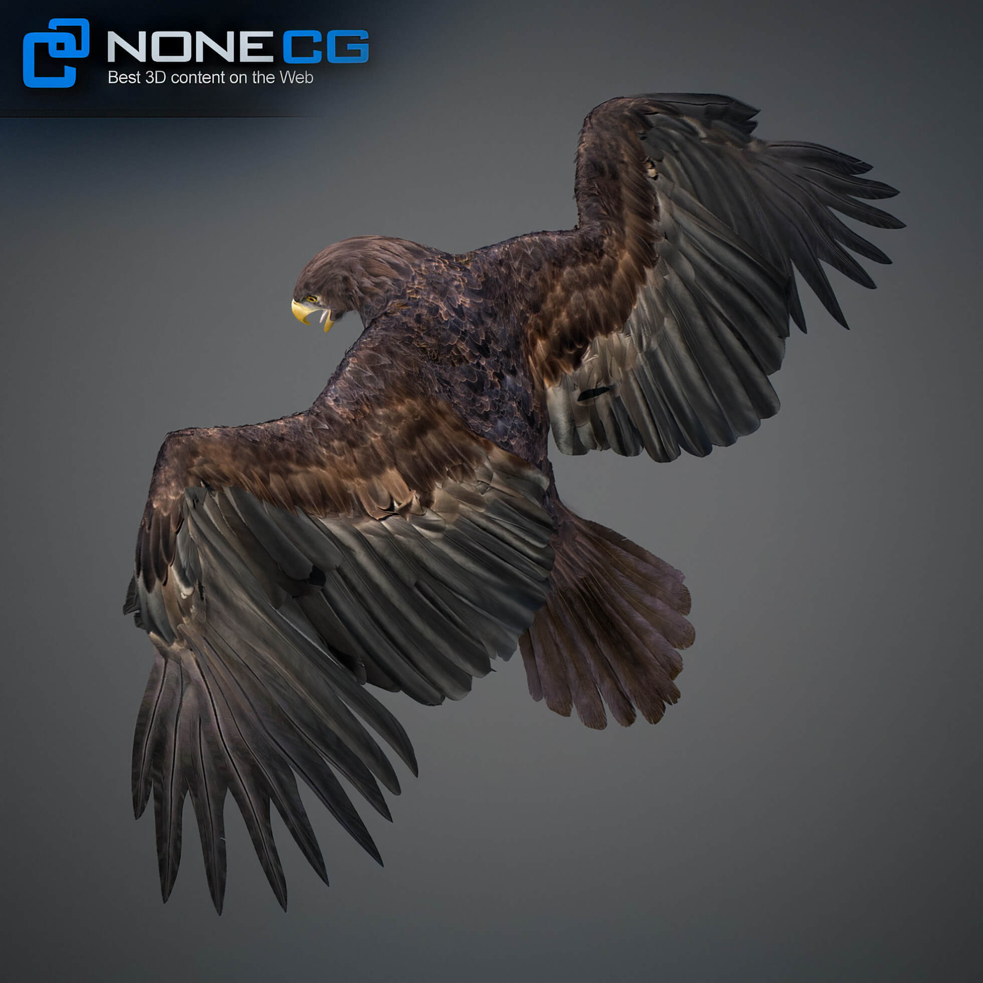 Golden Eagle V2 - 3D Model by NoneCG