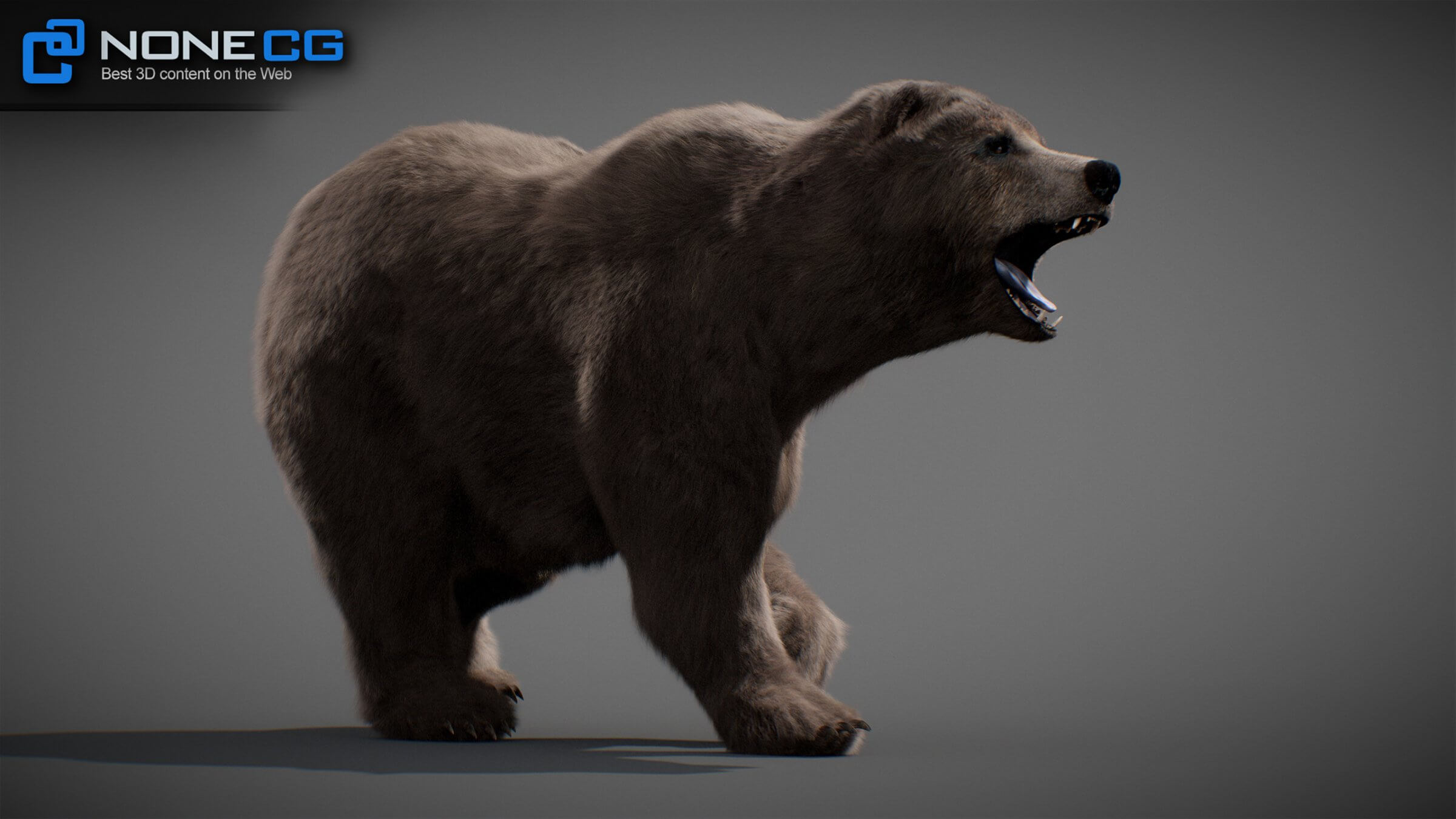 Animated Bear - 3D Model by NoneCG