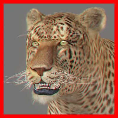 Animated Leopard - 3D Model by NoneCG
