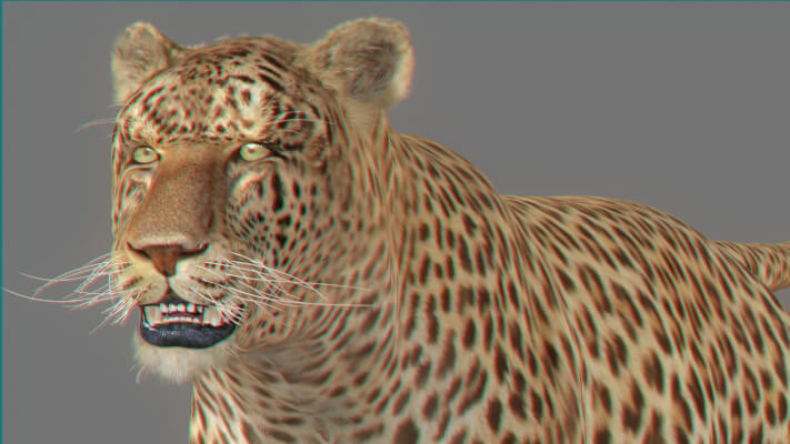 Animated Leopard - 3D Model by NoneCG