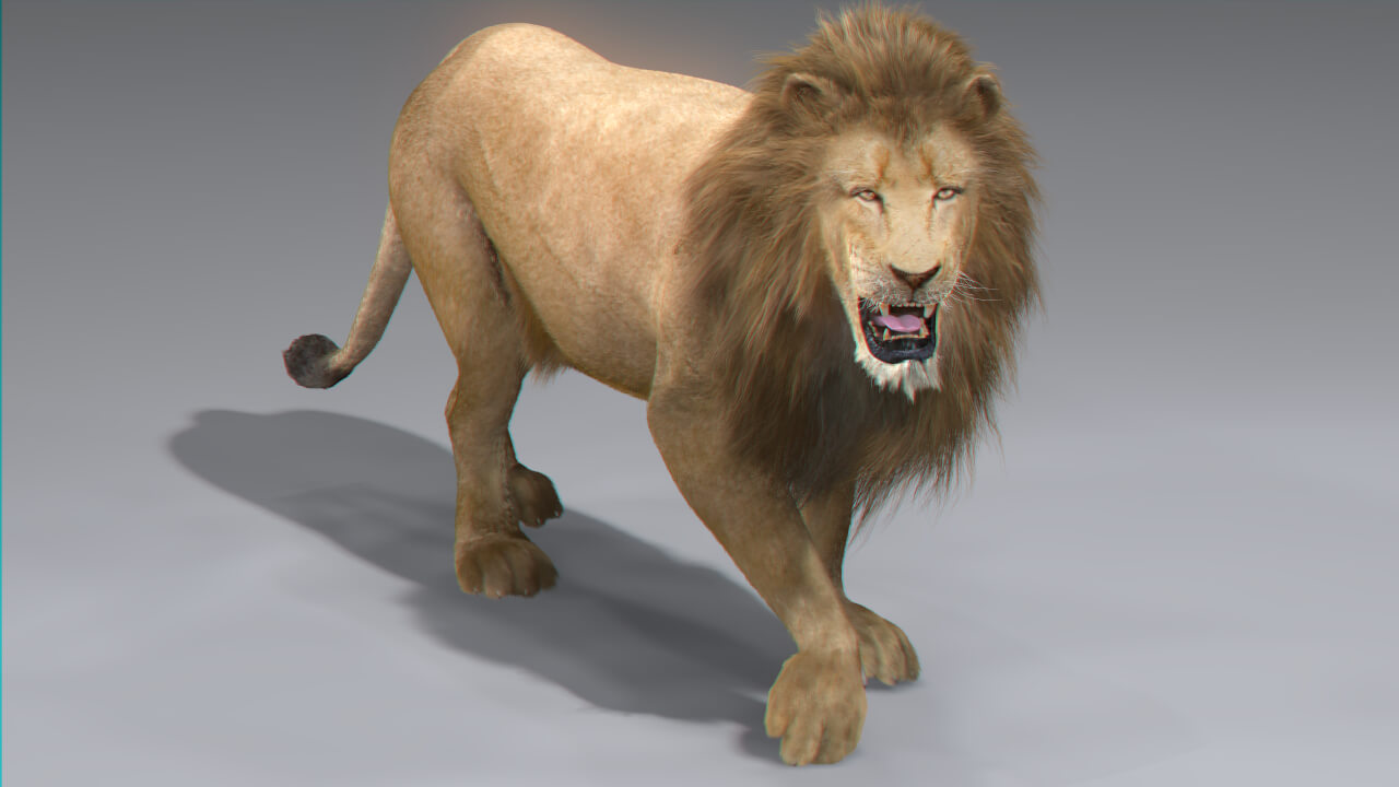 Animated Lion - 3D Model by NoneCG