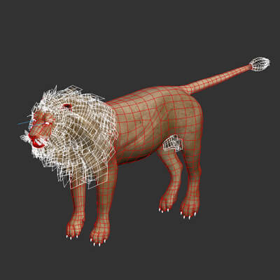 Animated Lion - 3D Model by NoneCG