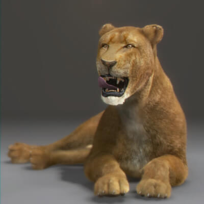 Animated Lioness - 3D Model by NoneCG