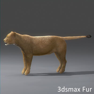Animated Lioness - 3D Model by NoneCG