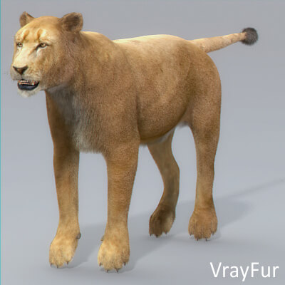 Animated Lioness - 3D Model by NoneCG